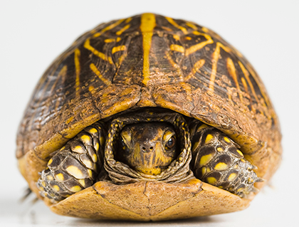 Matt Michel predicts 2020 HVAC system replacement surge | Contracting ...